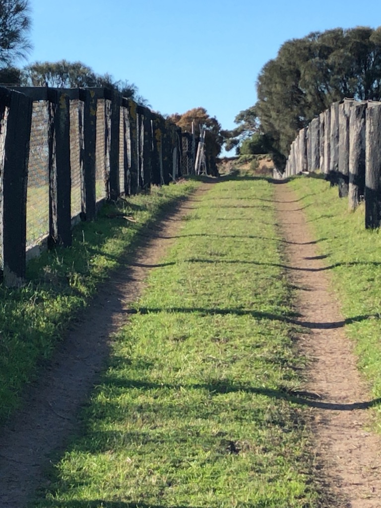 Green Dales Farm, Fingal | Pure Locations