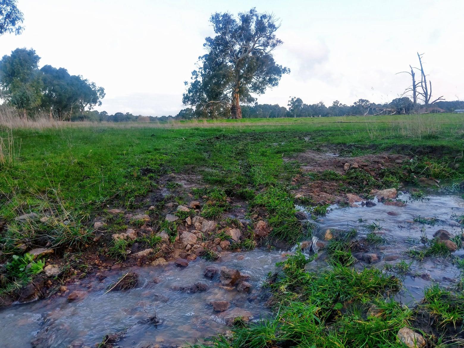 Drovers Run, Littlehampton - Pure Locations