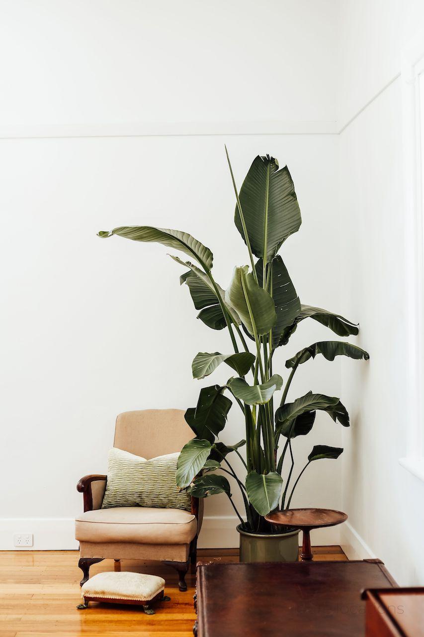 Victoria Station, Willaura - Pure Locations