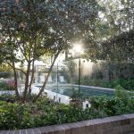 Versailles, South Turramurra - Pure Locations